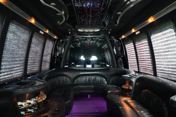 16-18 Passenger Party Bus Rental - A Perfect Touch Limo